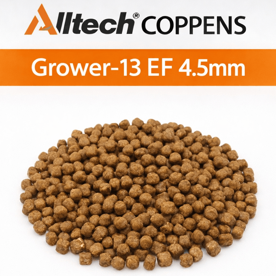 Alltech Coppens Grower-13 EF Expander Pellets - Carpshop24