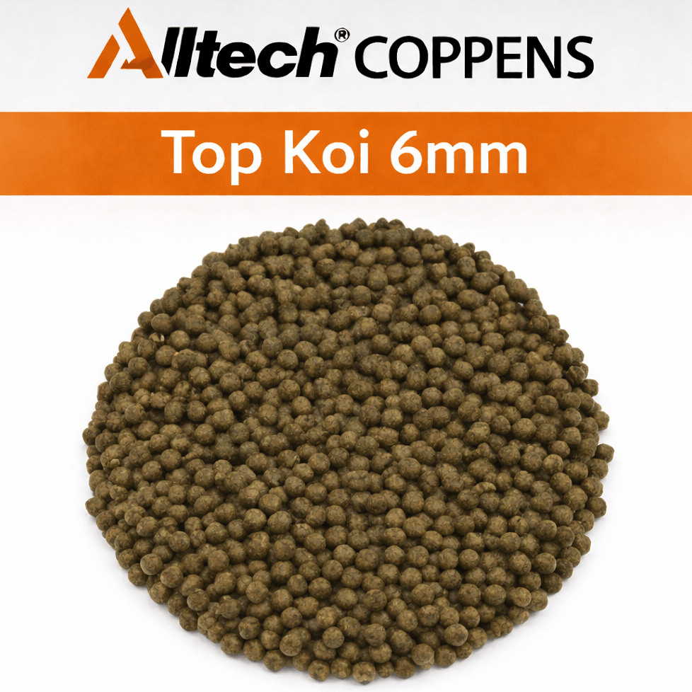 Alltech Coppens Top Koi Pellets - Carpshop24